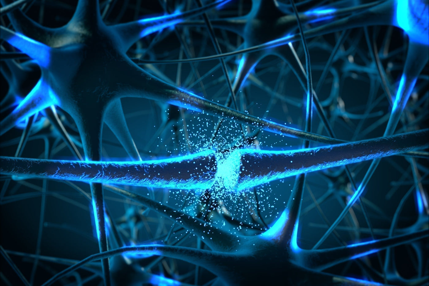 Foods High in Vitamin B